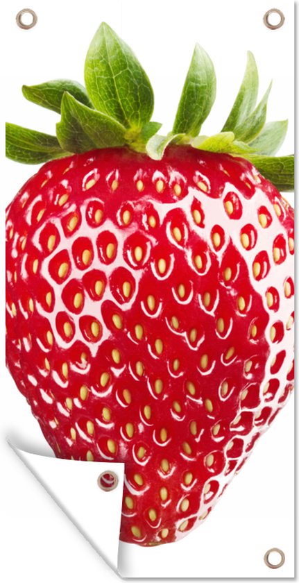 Décoration murale murale d'extérieur Fraise - Fruit - Wit - 80x160 cm ...