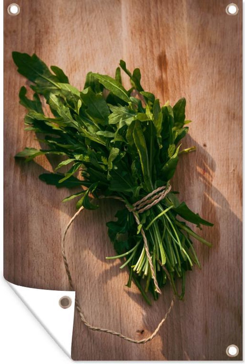 Roquette forestière vert foncé sur fond bois Affiche de jardin 120x180 ...