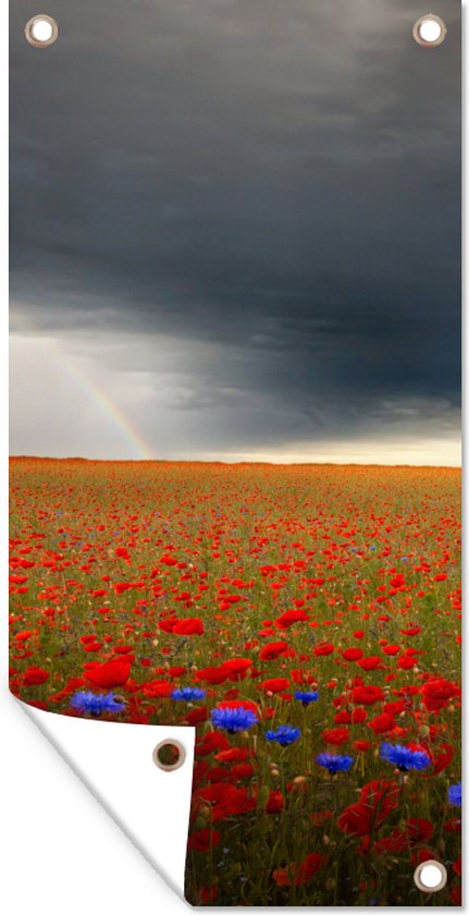 Décoration murale murale d'extérieur Fleurs - Rouge - Grijs - 80x160 cm ...