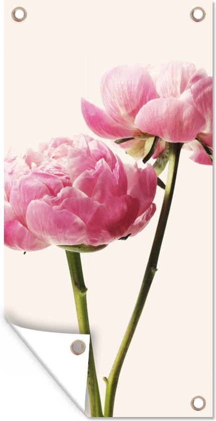 Poster de jardin Fleurs - Blossom - Rose - 30x60 cm - Toile de jardin ...