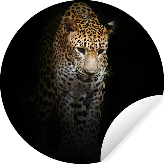 WallCircle - Muurstickers - Behangcirkel - Luipaard - Reflectie - Zwart - ⌀ 30 cm -... | bol
