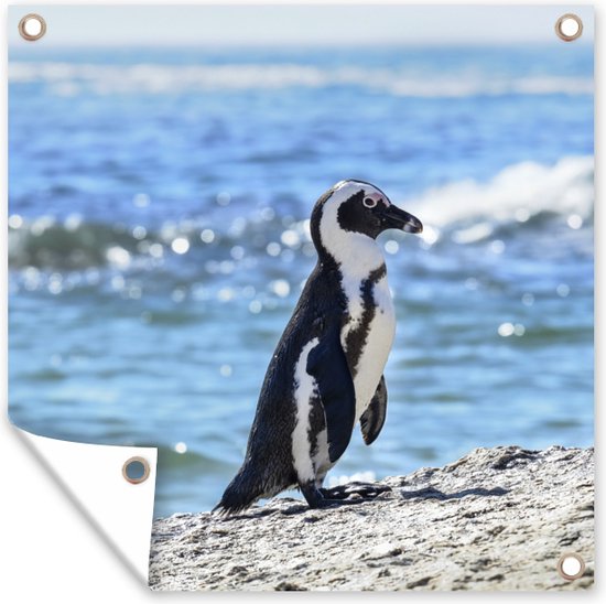 Affiche de Jardin Pingouin sur l'eau à Boulders Beach - 200x200 cm ...
