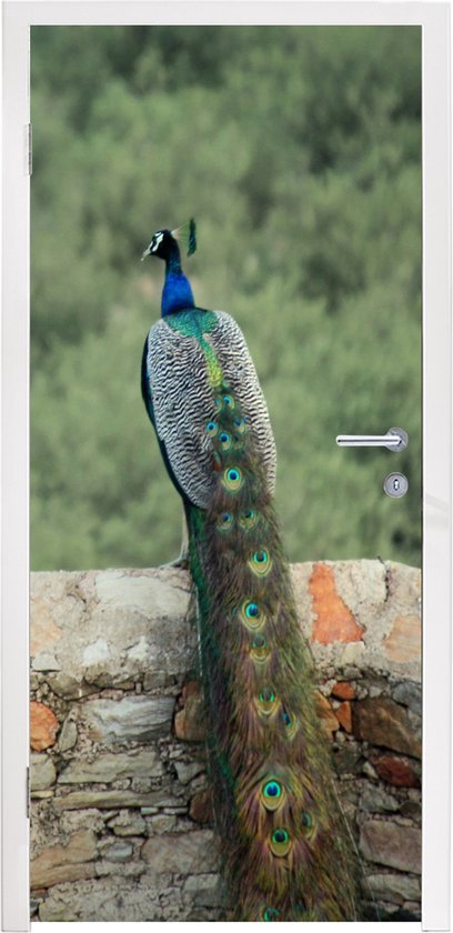 Deursticker Pauw - Muur - Bos - 85x215 cm - Deurposter | bol