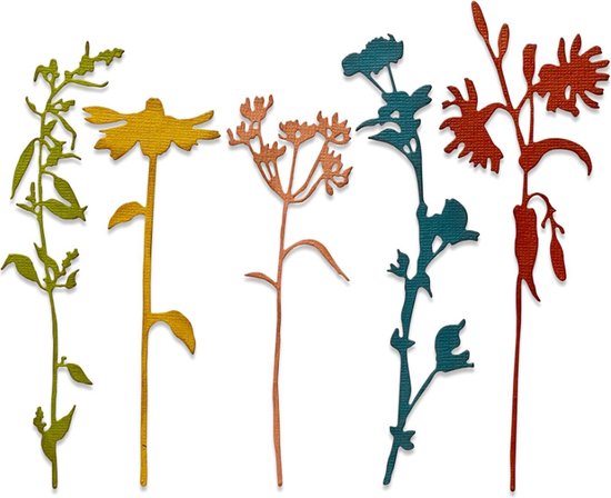 Sizzix Thinlits Snijmal Set - Wildflower Stems #3 - 5 stuks | bol