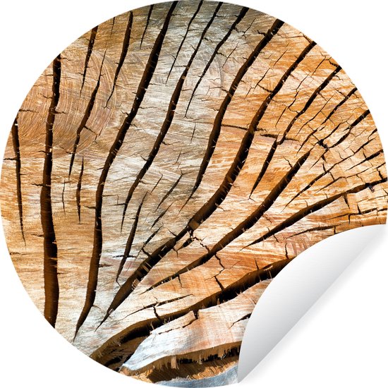 WallCircle - Muurstickers - Behangcirkel - Een dwarsdoorsnede van een boomstam - ⌀ 120... | bol