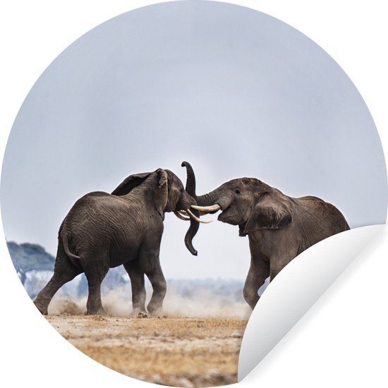 WallCircle - Muurstickers - Behangcirkel - Olifant - Dieren - Vlakte - Natuur -... | bol