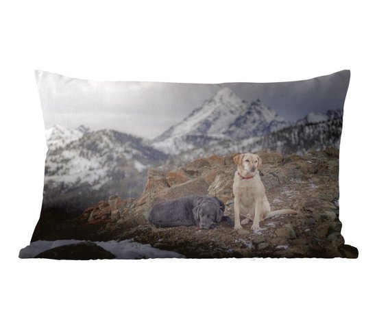 Hond - Berg - Goud | bol.com