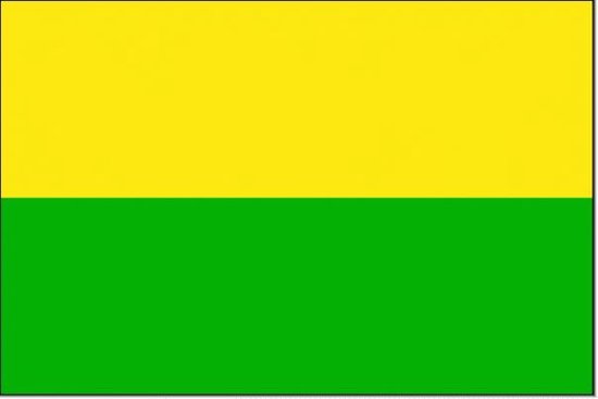 Vlag Den Haag 150x225cm | bol