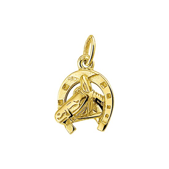 Hanger Hoefijzer En Paard | bol.com