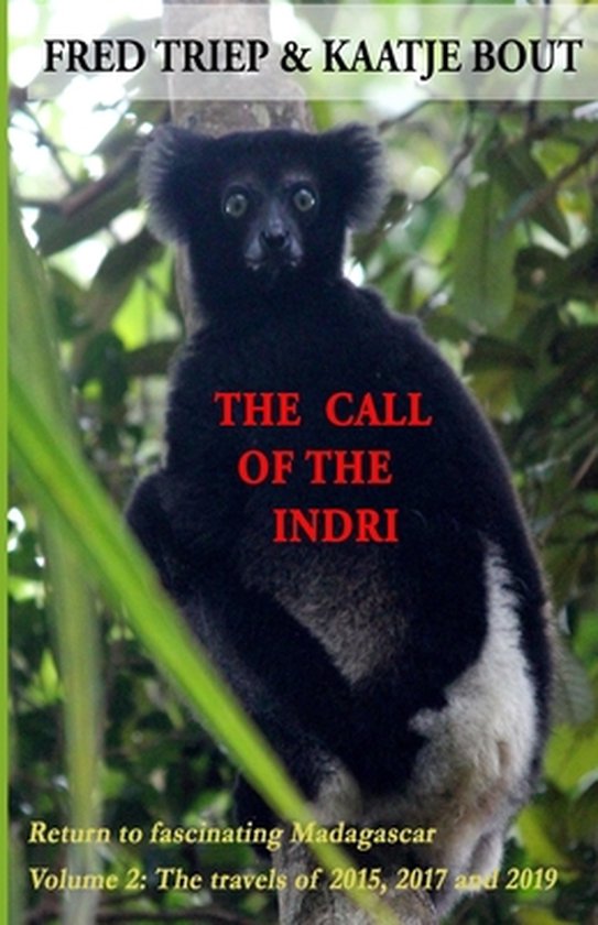 Travel Experiences with Madagascar-The call of the indri, volume 2 ...