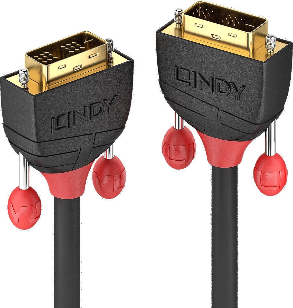 LINDY DVI Aansluitkabel DVI-D 18+1-polige stekker, DVI-D 18+1-polige ...