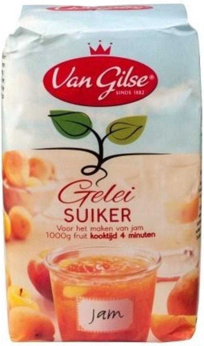 Van Gilse Geleisuiker 10x1 kg | bol