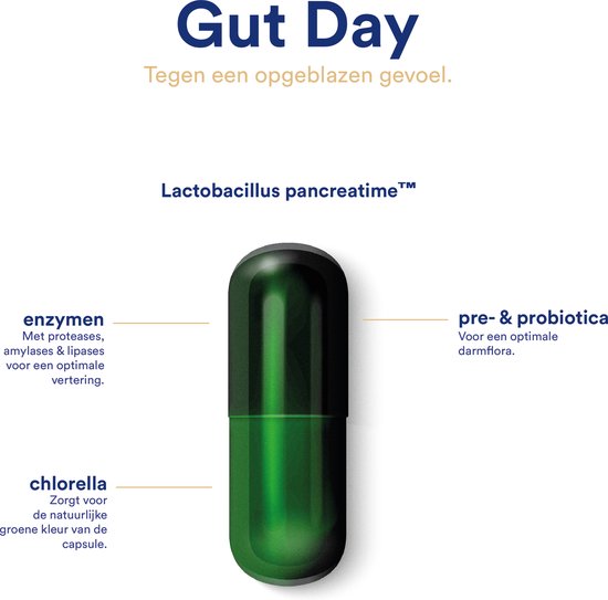 Insentials Gut Day - Spijsvertering na maaltijden - Behandeling tegen ...