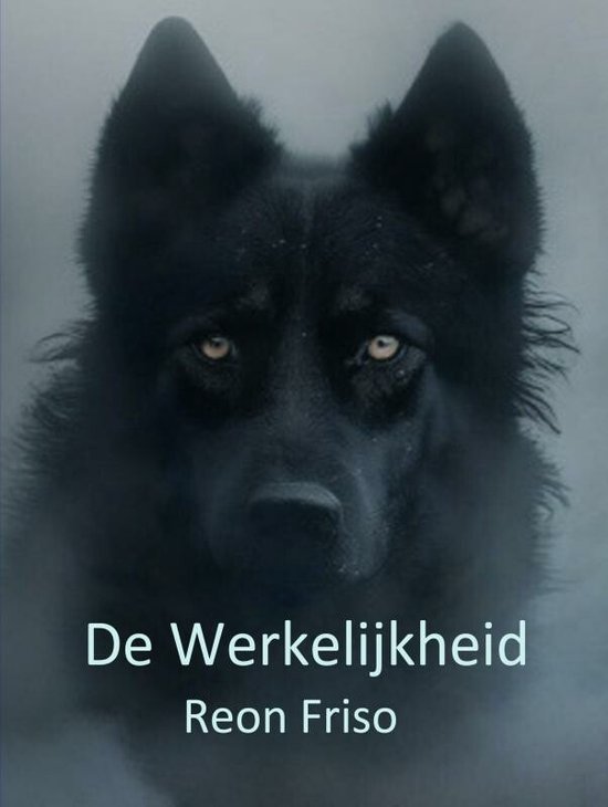 De Werkelijkheid (ebook), Reon Friso | 9789464809282 | Boeken | bol