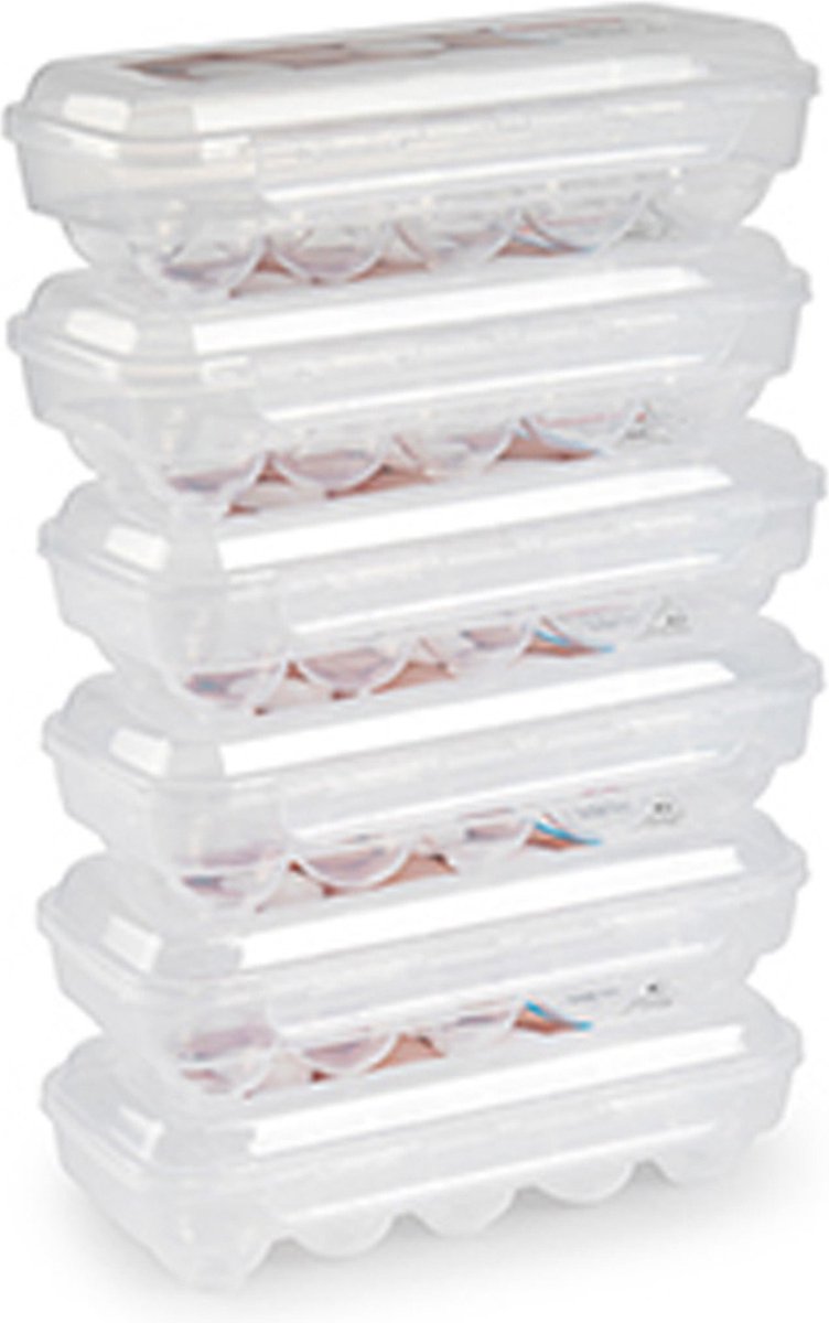 Plasticforte Eierdoos - 2x - koelkast organizer eierhouder - 10 eieren ...