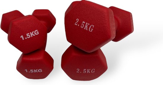 Padisport Dumbells Rood 1,5 En 2,5 Kg - Gewichten Set Halters ...