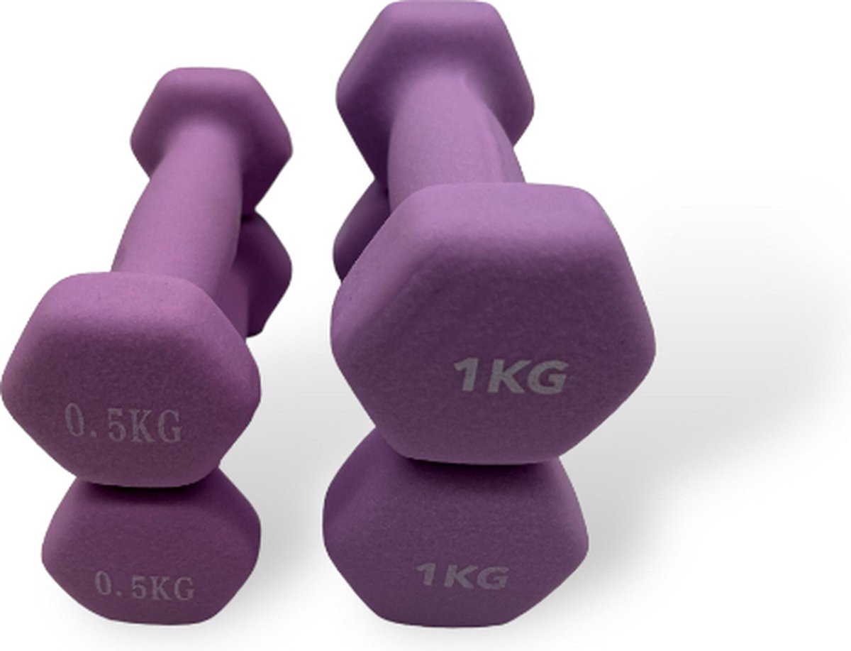 Padisport - Dumbell Neopreen set 0,5 en 1 kg - gewichten set halters ...