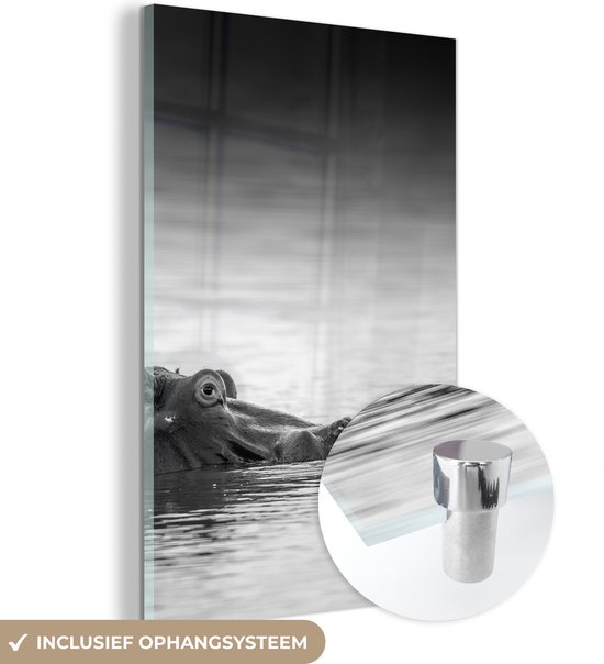 Glasschilderij - Nijlpaard - Dieren - Water - Zwart - Wit - Foto op glas -... | bol
