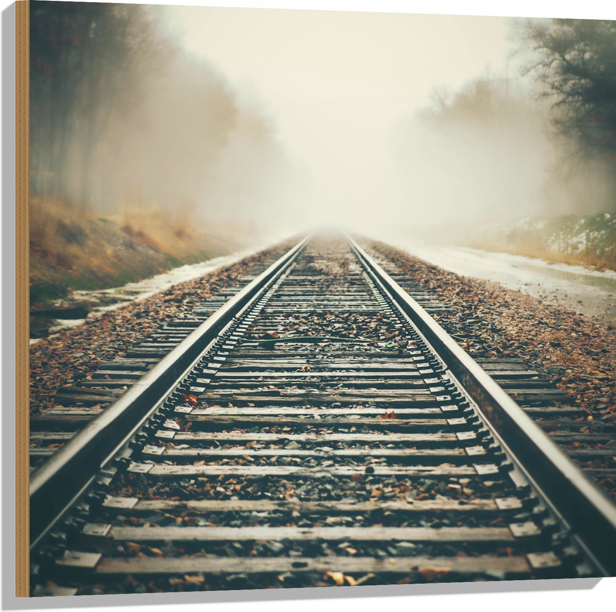 Hout - Mist boven de Treinrails - 80x80 cm - 9 mm dik - Foto op Hout ...
