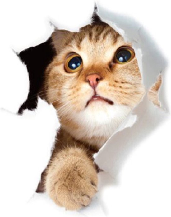 EPIN | WC Sticker | Katten Sticker | Deur Sticker | 3D Vinyl Sticker ...