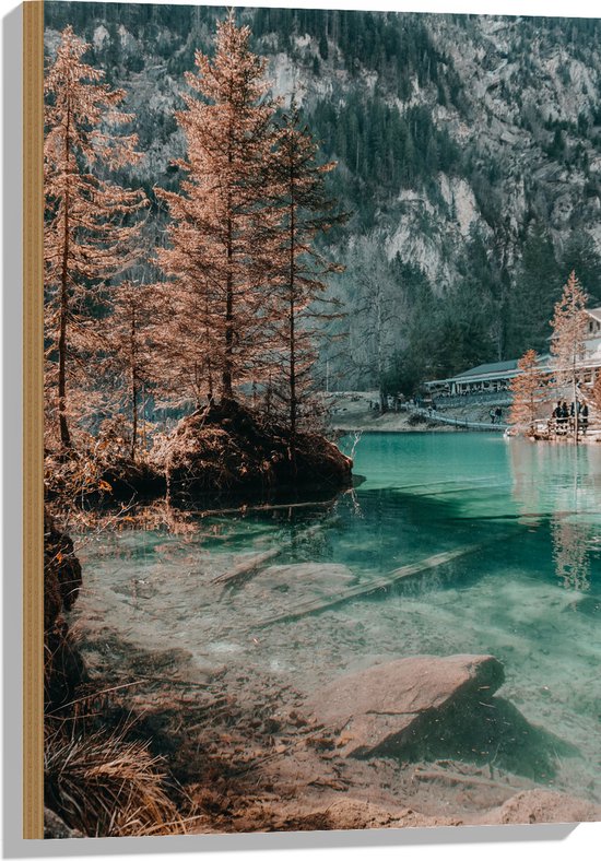 Hout - Bergen - Bomen - Water - 50x75 cm - 9 mm dik - Foto op Hout (Met ...