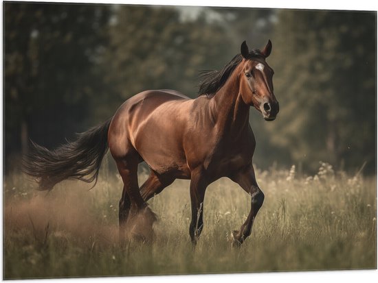 Vlag - Bruin Paard met Witte Bles Lopend door Weiland met Hoog Gras ...