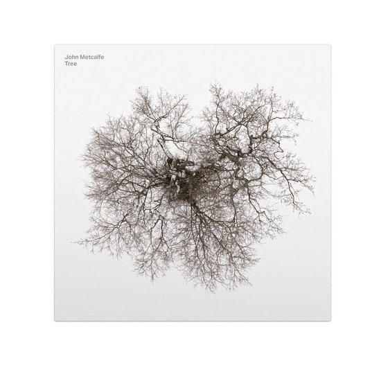 John Metcalfe - Tree (2 LP), John Metcalfe | Muziek | bol