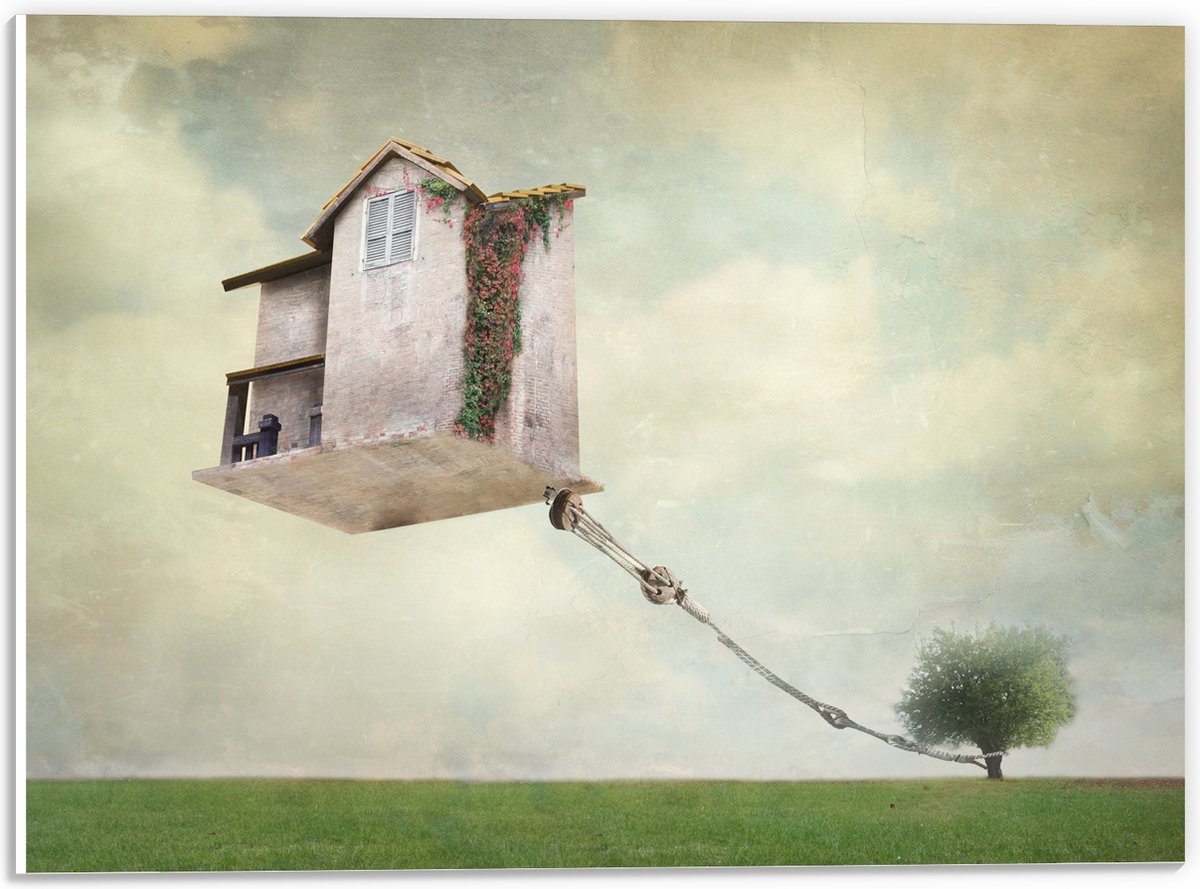 PVC Schuimplaat - Huis Zwevend aan Eenzaam Boom op Vlakte - 40x30 cm ...