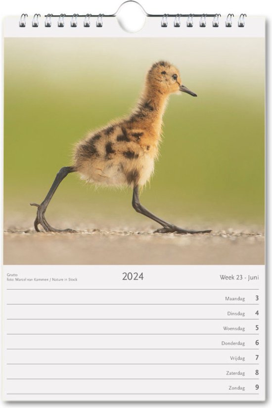 Bekking & Blitz - Weeknotitiekalender 2024 - Nederland Natuurland ...