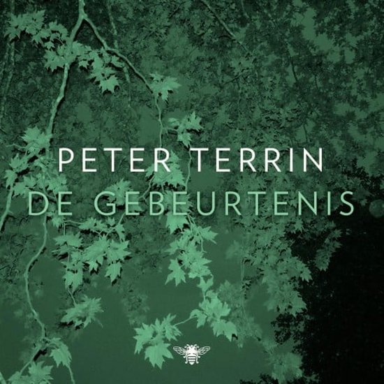 De gebeurtenis, Peter Terrin | 9789403130064 | Boeken | bol