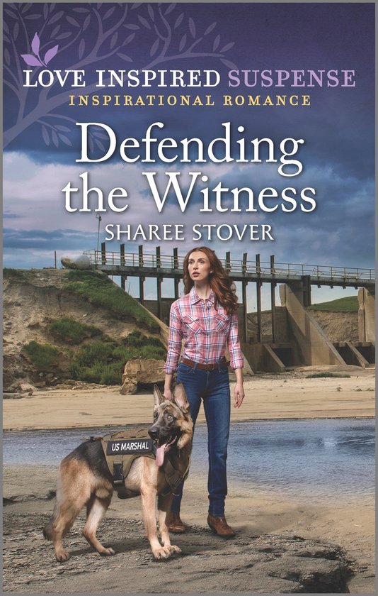 Defending the Witness (ebook), Sharee Stover | 9780369741042 | Boeken | bol