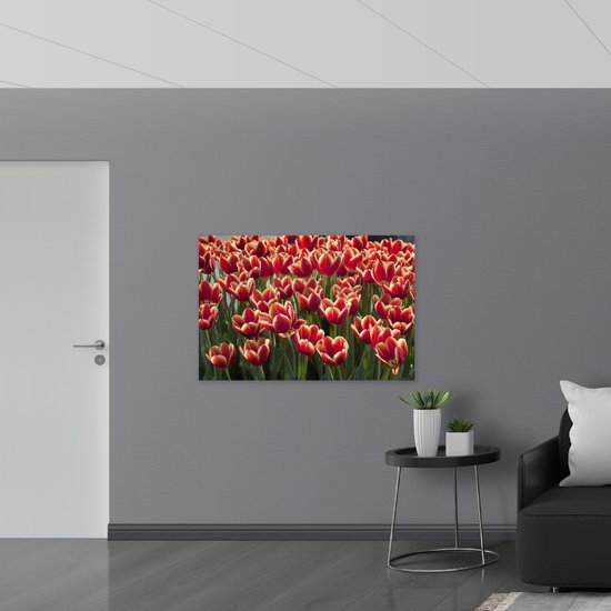 Hout - Rood Tulpenveld in Nederland - 120x80 cm - 9 mm dik - Foto op ...