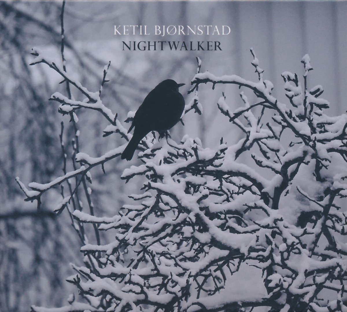 Ketil Bjornstad - Nightwalker (2 CD), Ketil Bjornstad | Muziek | bol