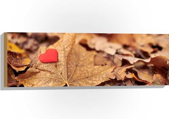 Hout - Rood Hart Liggend op Bruin Herfstblad - 90x30 cm - 9 mm dik ...