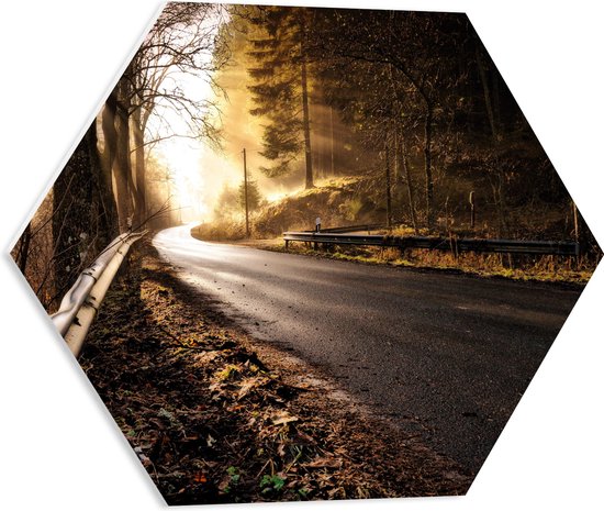 PVC Schuimplaat Hexagon - Bomen - Bossen - Weg - Natuur - 50x43.5 cm ...