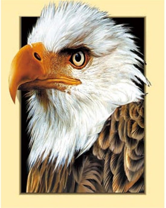 Diamond painting op canvas - In kader diamond painting - 40 x 50cm ...