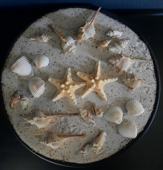 Schelpenzand met schelpen en zeesterren | Decoratie | Zomer zand ...