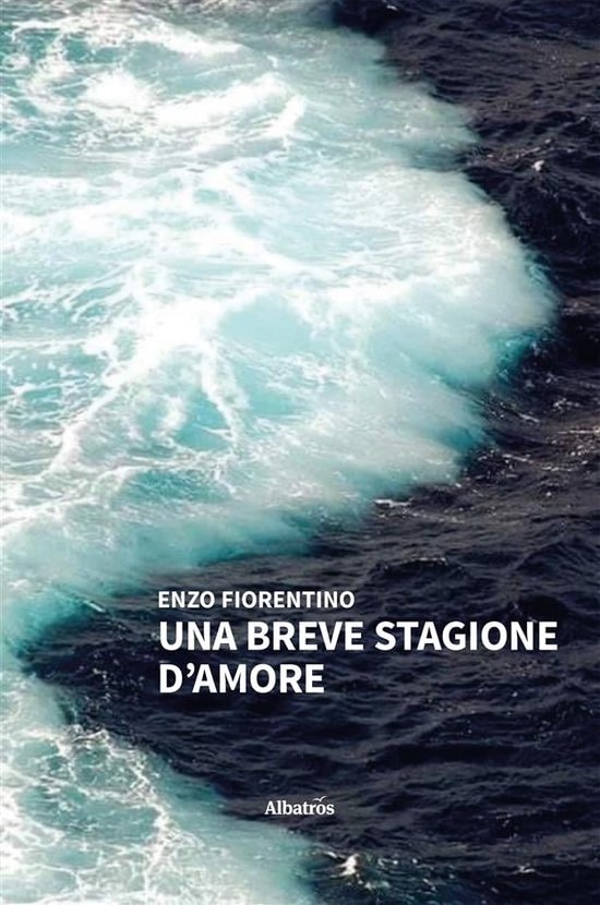 Una breve storia d'amore (ebook), Enzo Fiorentino | 9788830679177 ...