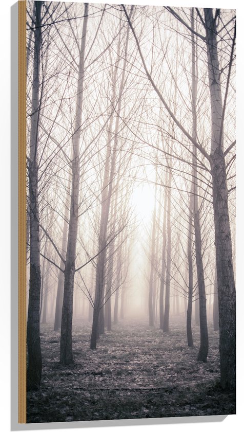 Hout - Bomen - Bossen - Mist - Bladeren - Gras - 50x100 cm - 9 mm dik ...