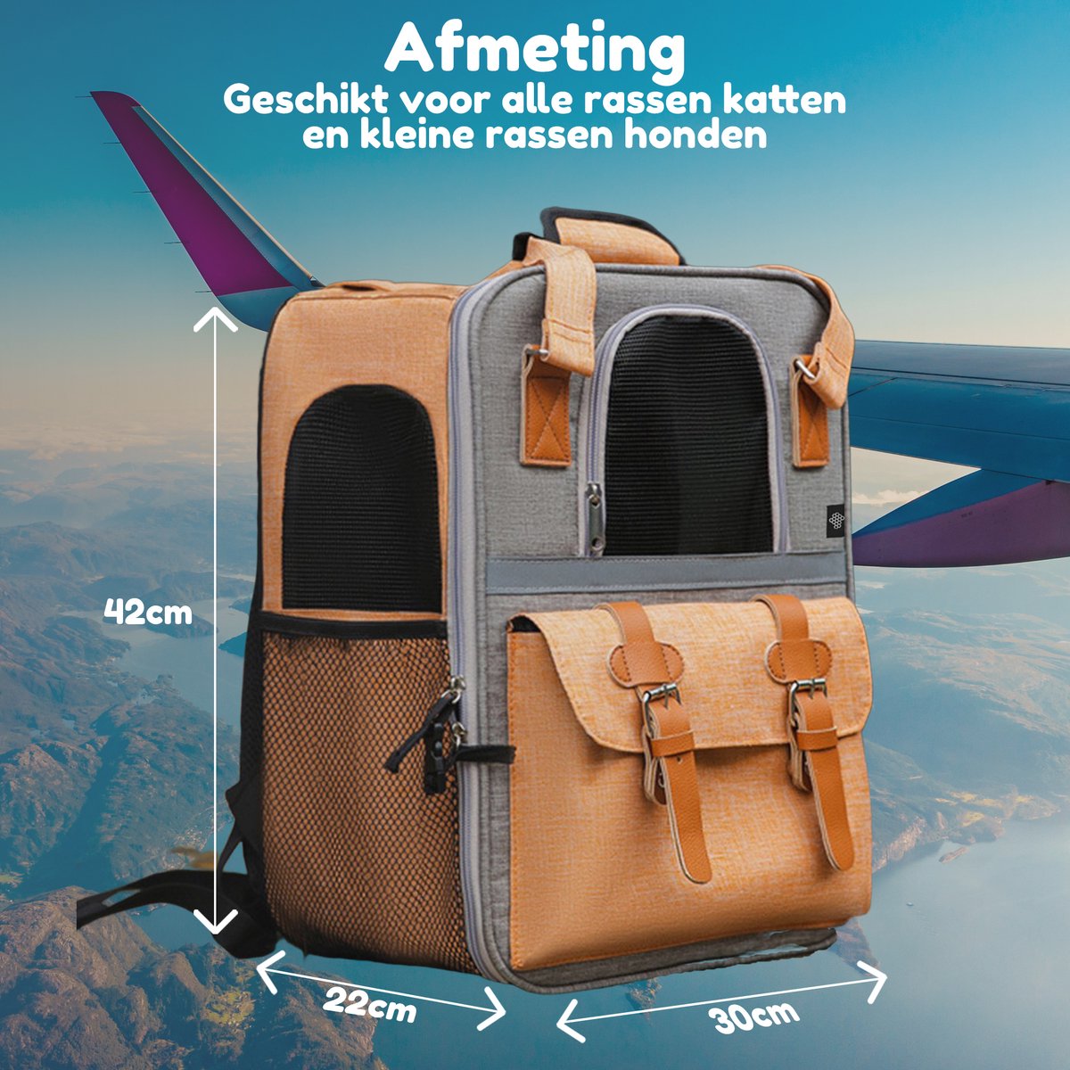 Bee's Hondenrugzak - Draagtas Hond en Kat - Kattenrugzak - Reistas Kat ...