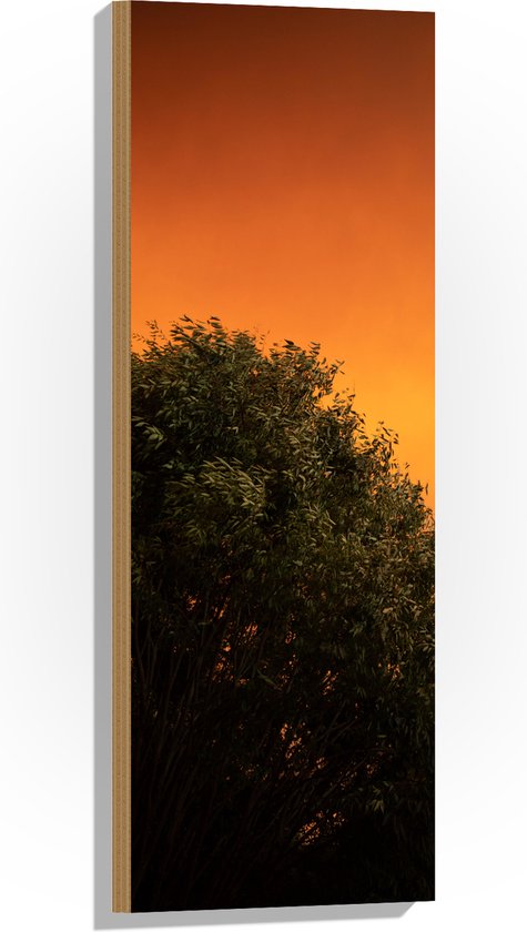 Hout - Boom - Bladeren - Kleuren - Natuur - Wind - 30x90 cm - 9 mm dik ...