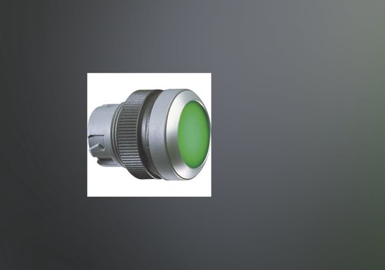 RAFI RAFIX 22 QR 1.30.240.021/1500 knop platte toets groen (transparant ...