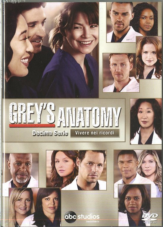 Walt Disney Pictures Grey's Anatomy - Season 10 DVD Engels, Spaans ...