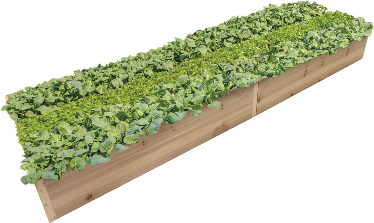 Terra Garden - Kweekbak - Moestuinbak - Moestuin - 222 x 64 x 27 cm ...