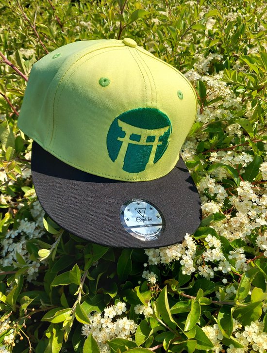 Capiche® Snapback Pet Heren – Groene Samurai – Lichtgroen & Zwart ...
