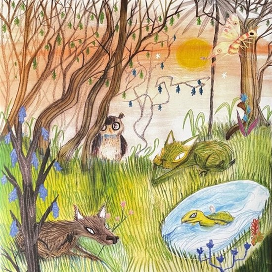 Cavetown Animal Kingdom - LP uit 2019 - Indiepop met Juliet, Boys Will ...