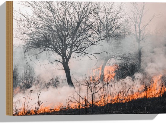 Hout - Bomen - Planten - Brand - Vuur - Rook - 40x30 cm - 9 mm dik ...