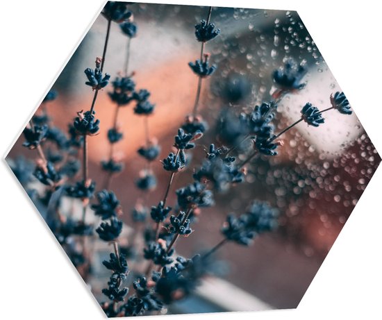PVC Schuimplaat Hexagon - Bloemen - Planten - Raam - Druppels - Takken ...