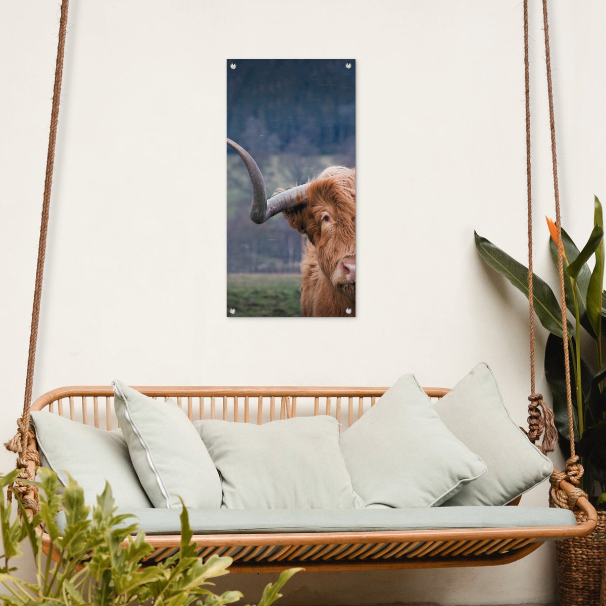 Poster de jardin Scottish Highlander - Tête de vache - Paysage - Nature ...