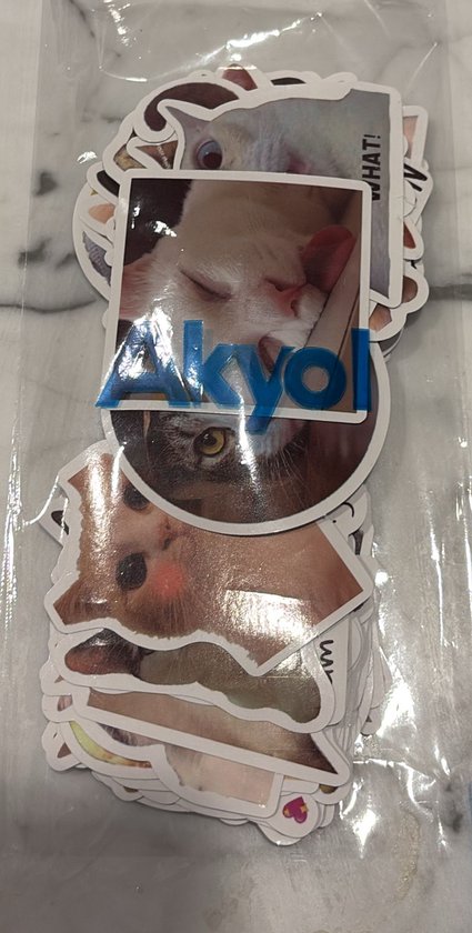 Akyol Grappige Meme Katten Stickers 40 Stuks | Dieren Stickers | Kat Poes Kitten |... | bol